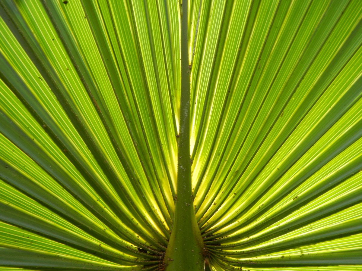 Mike Cutlip | naturetravelerblog